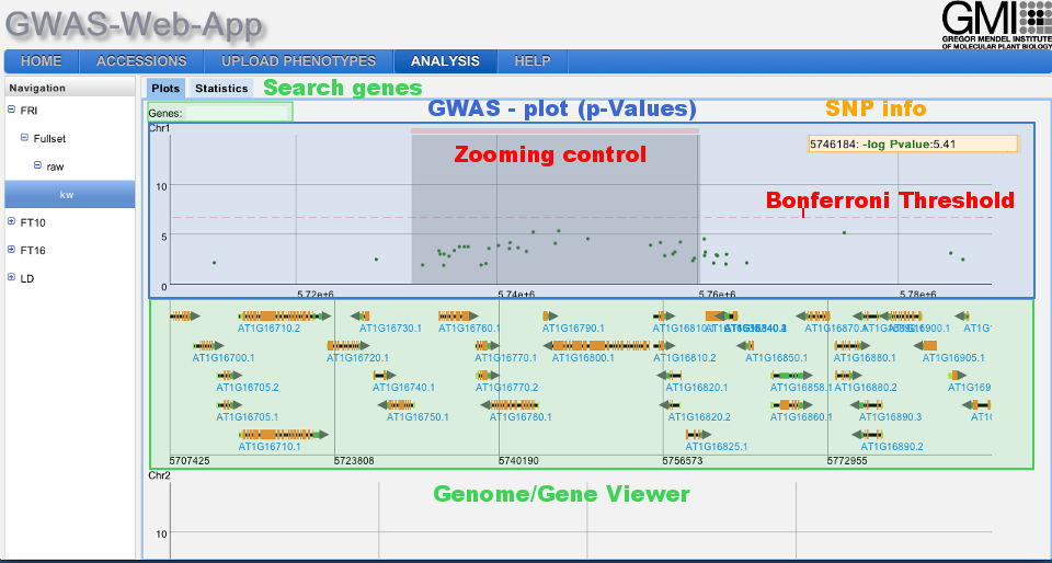 Genome-Wide Association Mapping